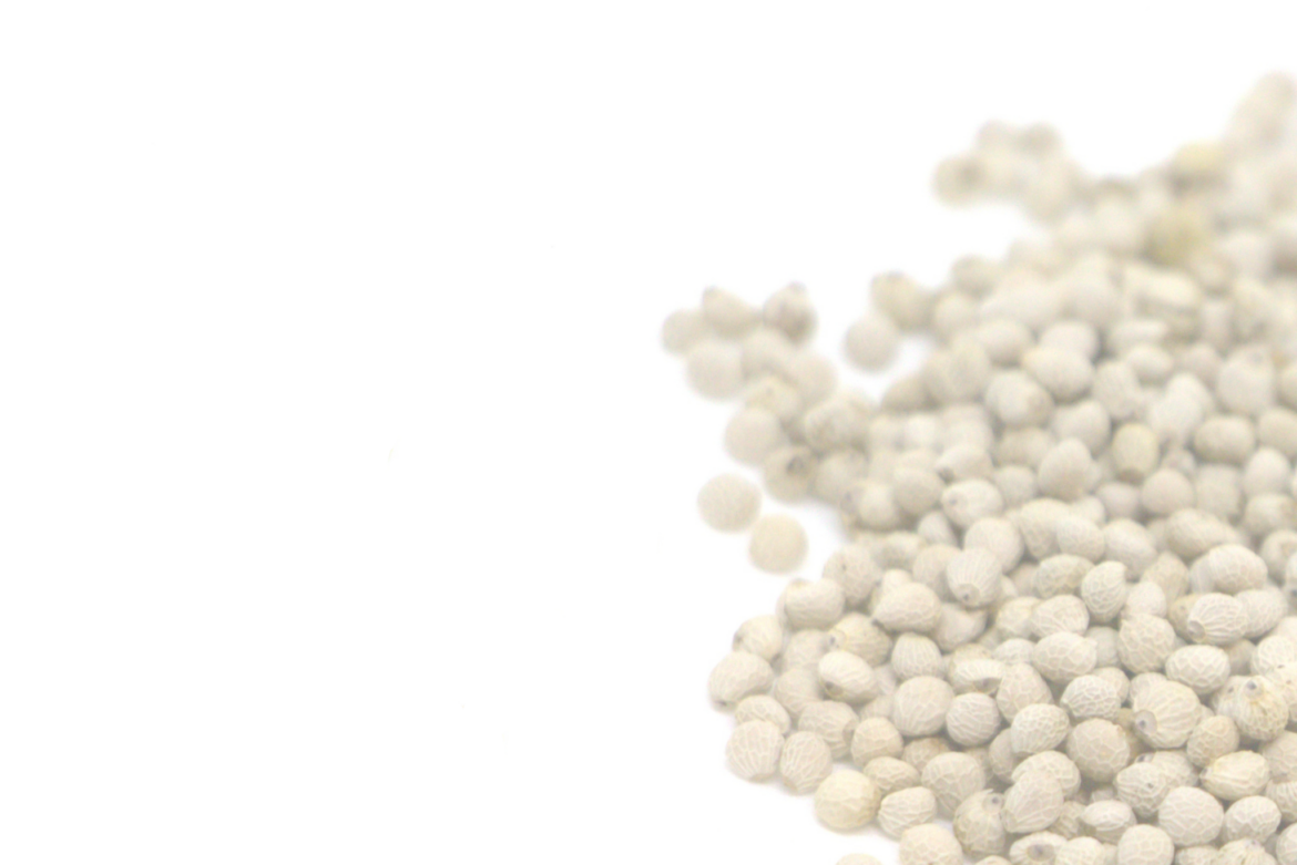 Home - English - Golinucci Organic Srl